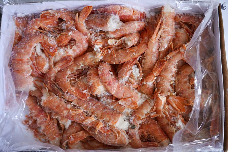Frozen Tiger Prawns Langoustines in Shell, Close-up Stock Photo - Image ...