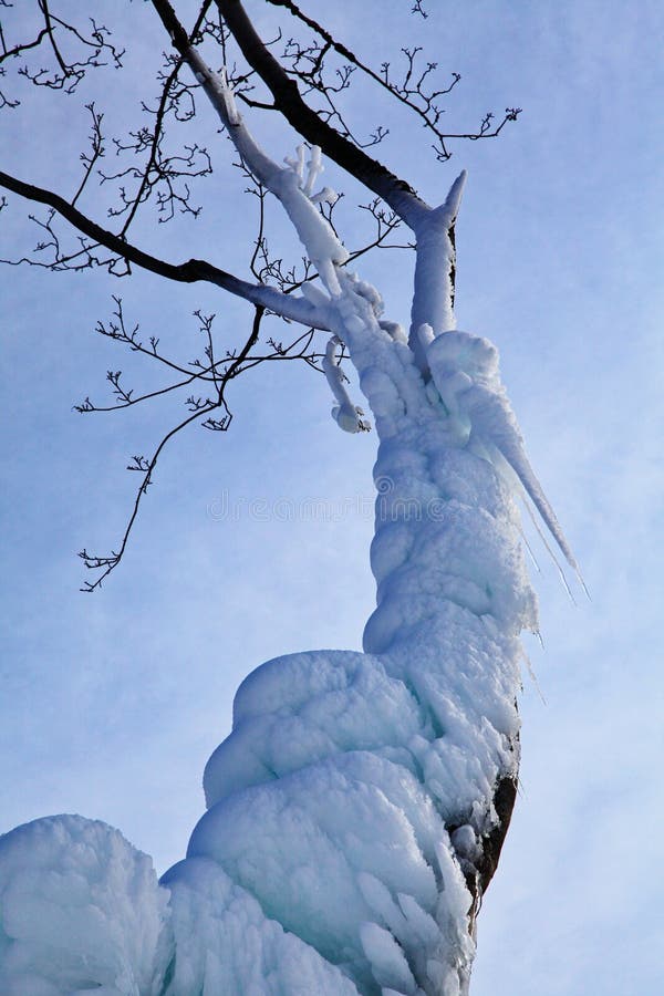 Frozen tree stock image. Image of abstract, europe, country - 28318577