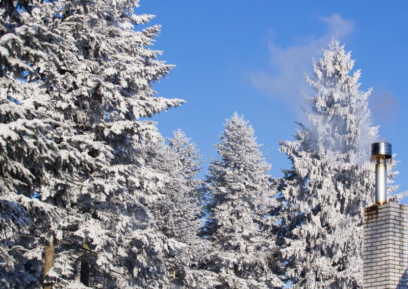 Frozen tree and blue sky stock image. Image of winter - 64632905