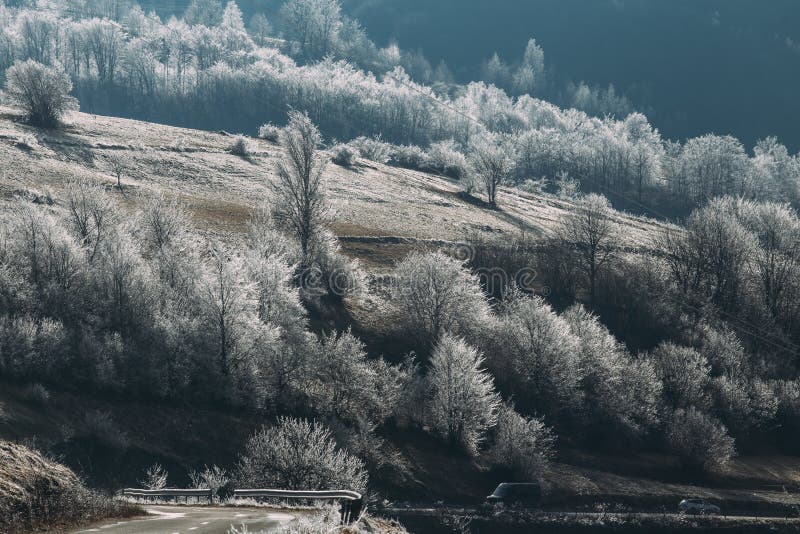 Frozen trees stock photo. Image of bright, mountain - 164113304