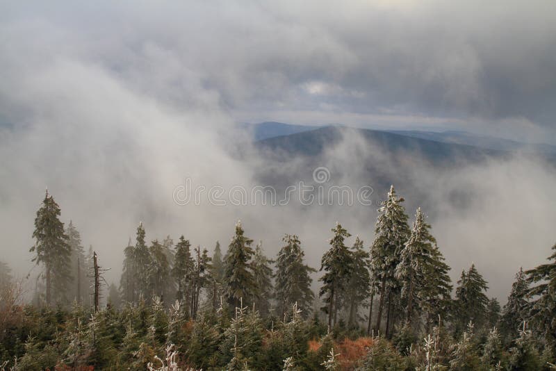 Frozen trees stock image. Image of light, rural, scenic - 39361401