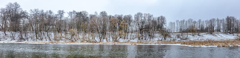 Frozen Trees on River Shore in Winter Cloudy Day. Panoramic View Stock ...