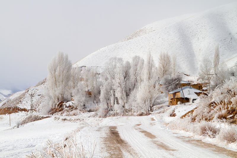 Winter scene stock photo. Image of travel, winter, trees - 263938510