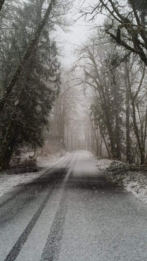A frozen tunnel stock photo. Image of cold, road, landscape - 96430908