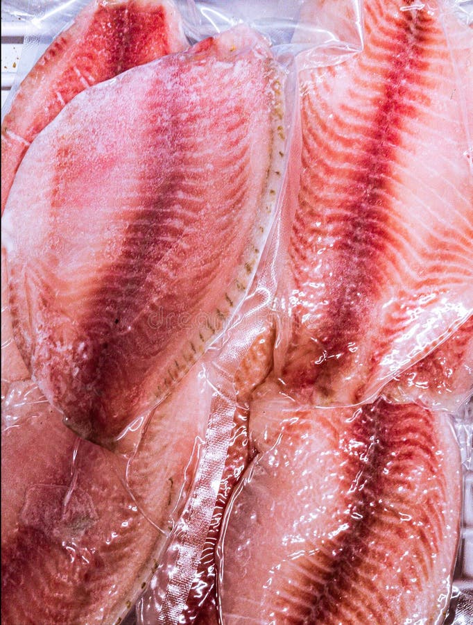 Frozen fish fillet stock image. Image of cooled, cookery - 205086005