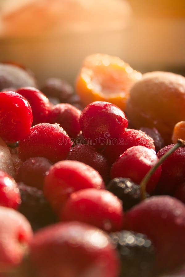 Frozen Variety of Fruits stock photo. Image of group - 50014038