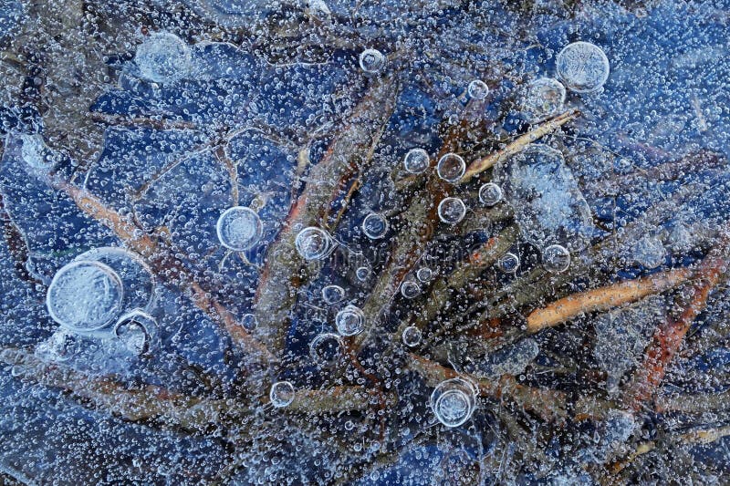 Frozen Water with Bubbles of Air Catched Under the Ice Stock Image ...