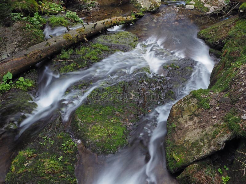 Frozen Water Forest Stream with a Log and Mossed Stones Stock Photo ...