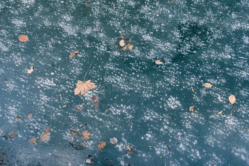 Frozen Water in Lake and Leaves on it Stock Photo - Image of leaf ...