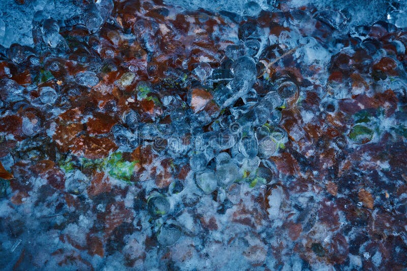 Frozen water on pebbles stock image. Image of closeup - 64771531
