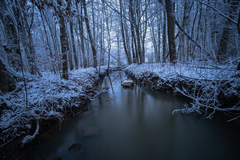 Frozen Water Pond in a Snowy Forest Stock Photo - Image of pond, cold ...