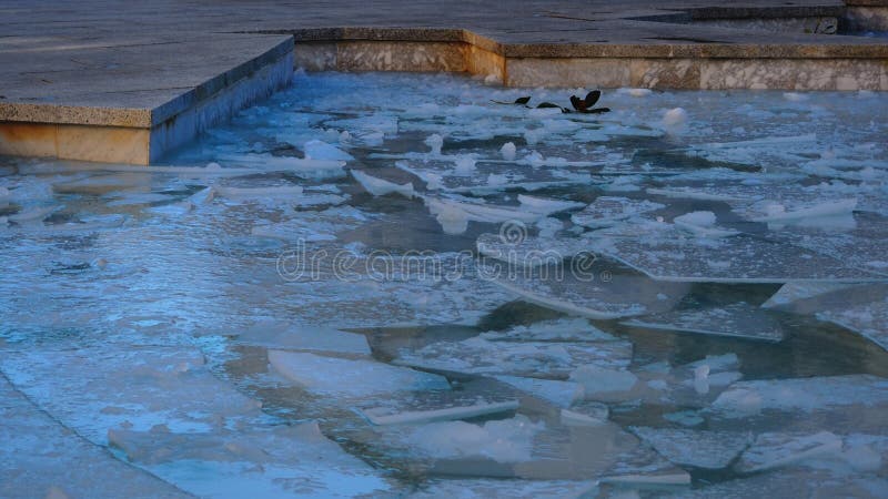 Frozen Water with Shattered Ice Layers Stock Photo - Image of texture ...