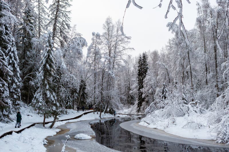 Frozen Water Stream through Winter Park Stock Photo - Image of outdoors ...