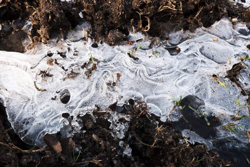 Frozen Water Stream in Winter. Slippery Ice Stock Image - Image of ...