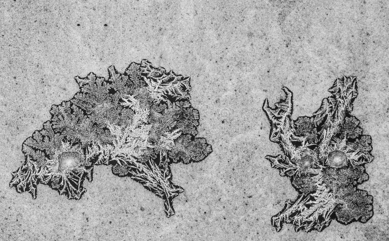 Silver Decoration Ornaments on Frozen Window Stock Photo - Image of ...