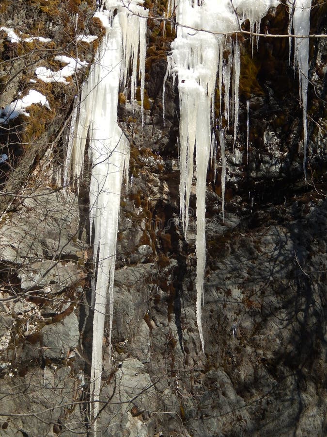 Frozen waterfall stock photo. Image of hang, forests - 90828408