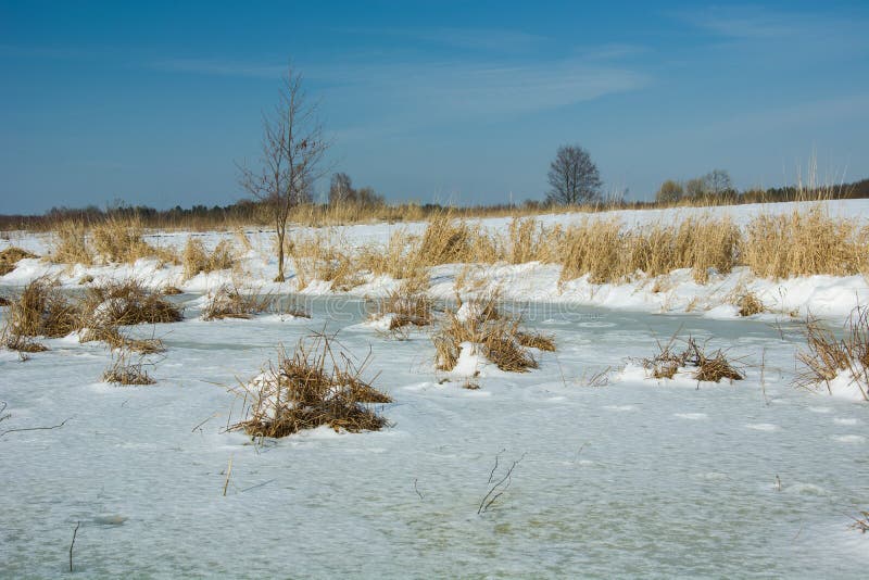 Frozen Wetlands In Winter-2 Stock Image - Image of stream, cold: 1955743