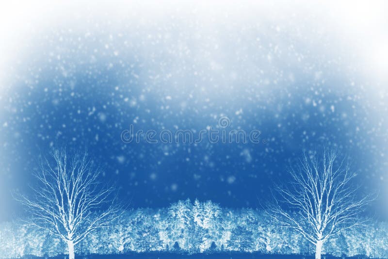 Frozen Winter Forest with Snow Covered Trees Stock Image - Image of ...