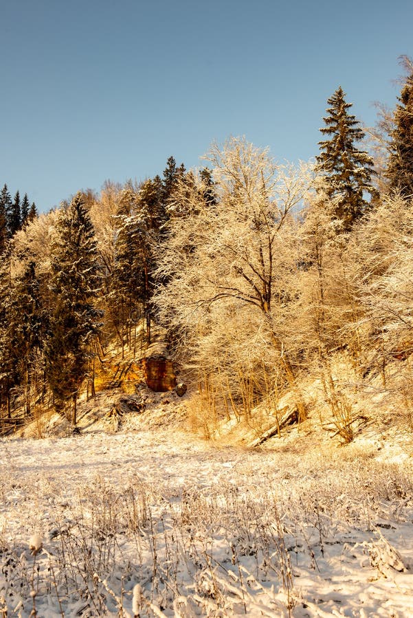 Frozen Winter Landscape with Forests and Fields Covered in Snow Stock ...