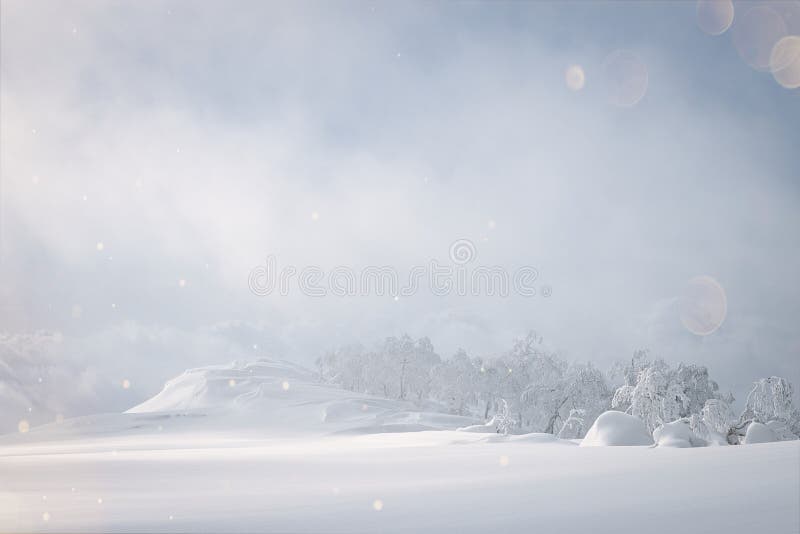Frozen Winter Landscape Snowdrift and Flares Stock Photo - Image of ...