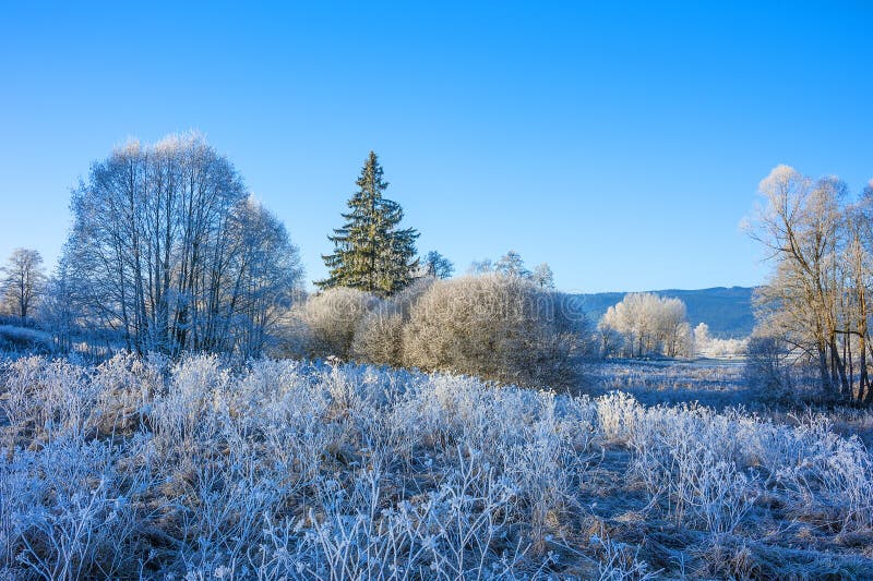 A Winter Morning with a Beautiful Sunrise Stock Image - Image of ...
