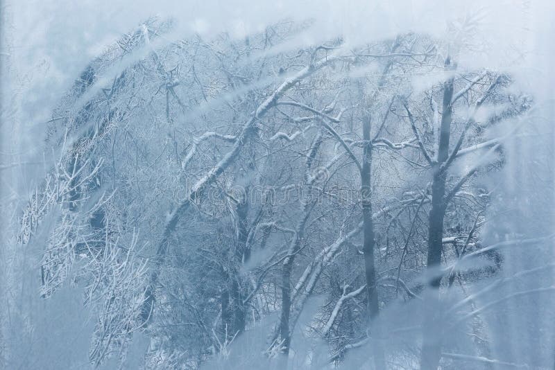 Frozen Man in Red Winter Clothes Warming Hands, Cold, Snow, Frost ...