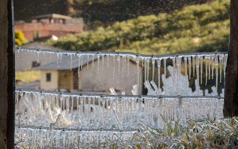 Frozen wire stock photo. Image of texture, winter, sunrise - 76910358