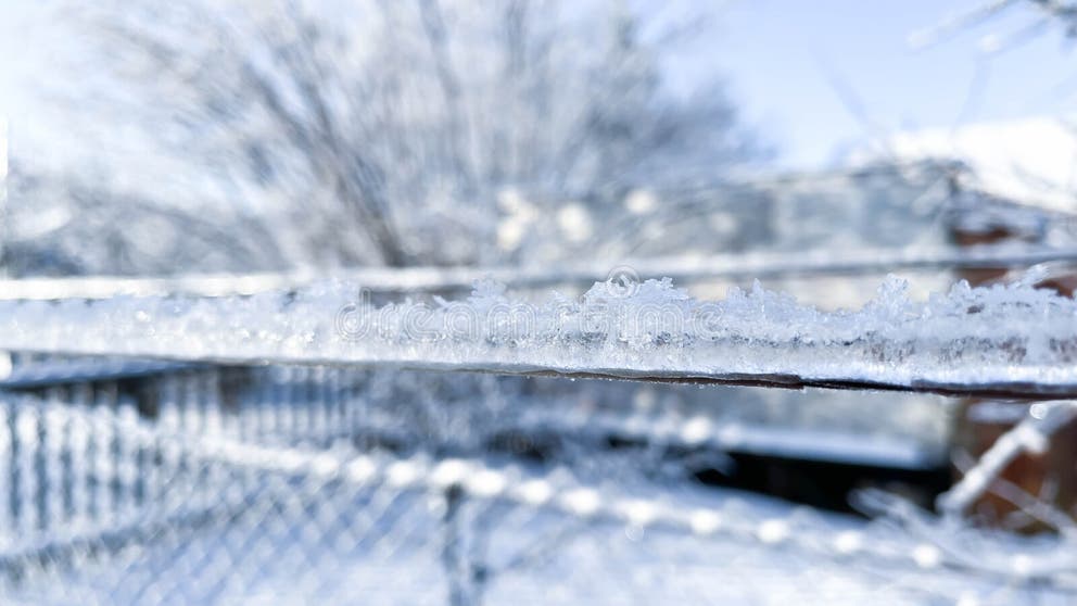 Frozen Wire in Winter in the Garden Macro Stock Image - Image of ...