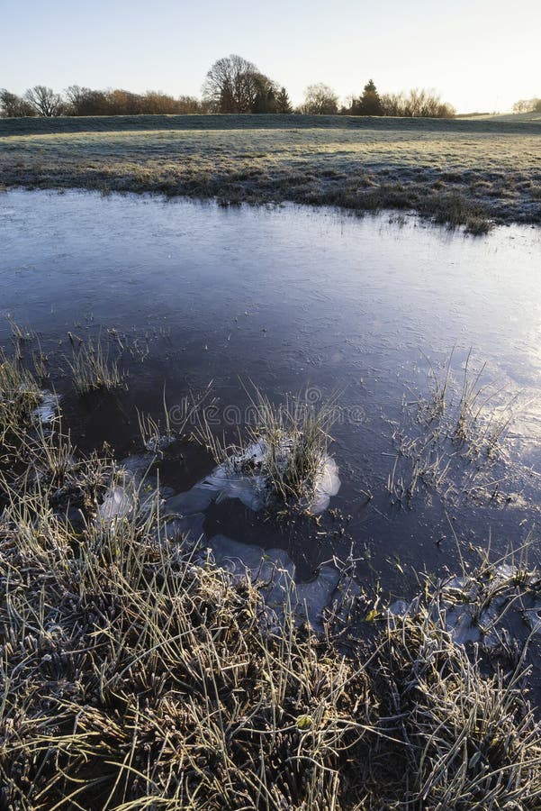 Frsoty Field and Ice Covered Winter Morning Landscape Stock Image ...