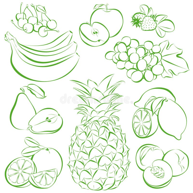 Frucht vektor abbildung. Illustration von frucht, zitrusfrucht - 26612286