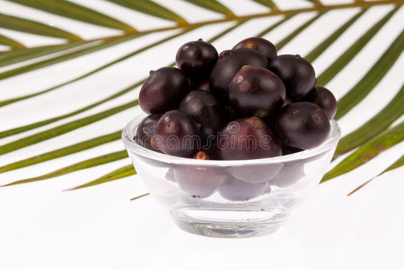 Frucht Acai Amazonisches Euterpe Oleracea Stockbild - Bild von ...