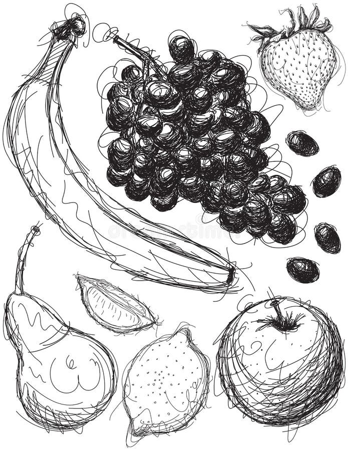 Frucht, Skizzenhandzeichnung Vektor Abbildung - Illustration von birne ...