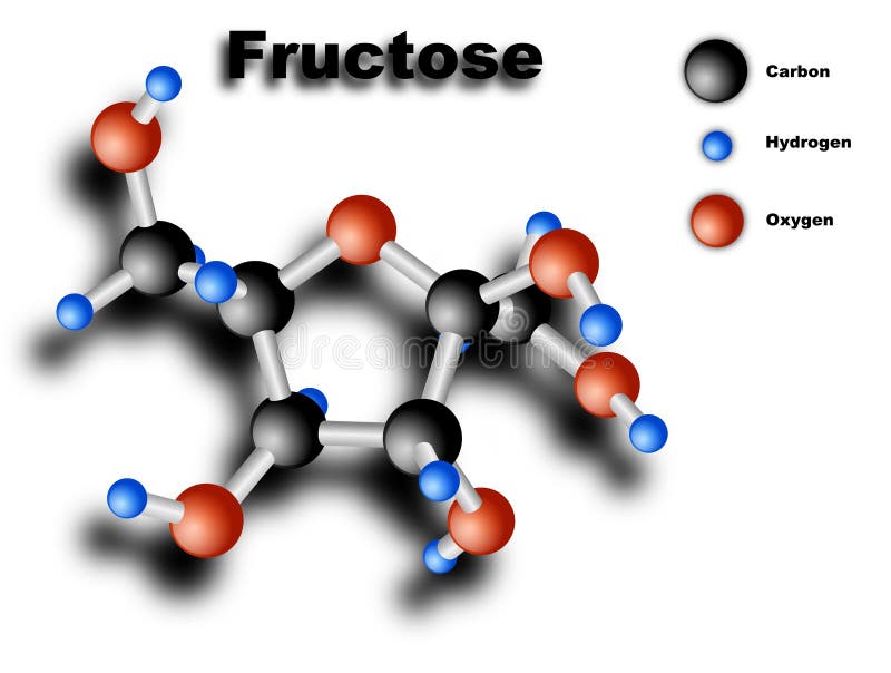 Fructose Molecule Diagram Structure Glucose Fructose Stock