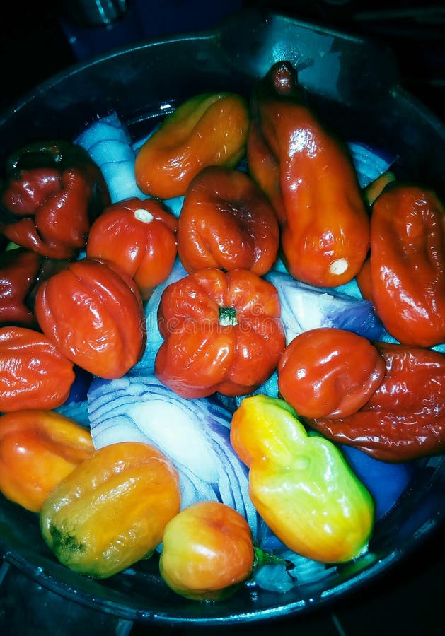 Fructuoso foto de archivo. Imagen de foto, fructuoso - 109077326