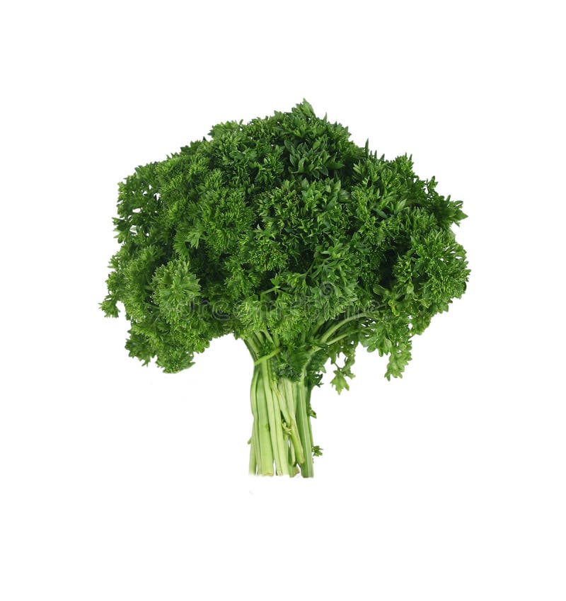 Fruit stock photo. Image of parsley, healthy, eating - 23298578