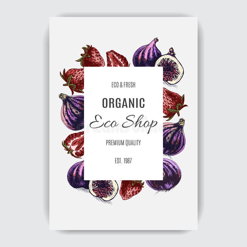 Banner for Eco Store. Colorful Citrus Card. Vector Iilustration with ...