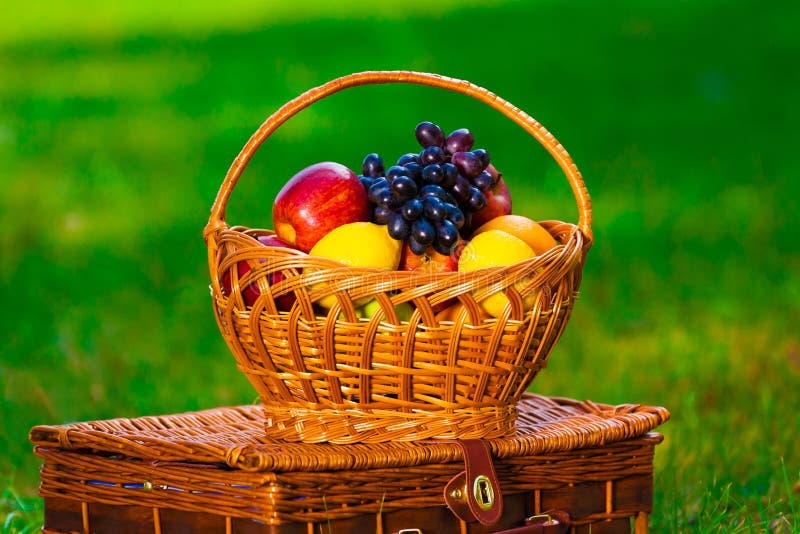Fruit basket stock photo. Image of autumn, nature, delicious - 38870594
