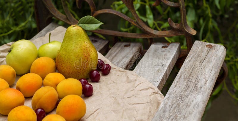 Fruit Basket is on the Bench Stock Photo - Image of summer, street ...