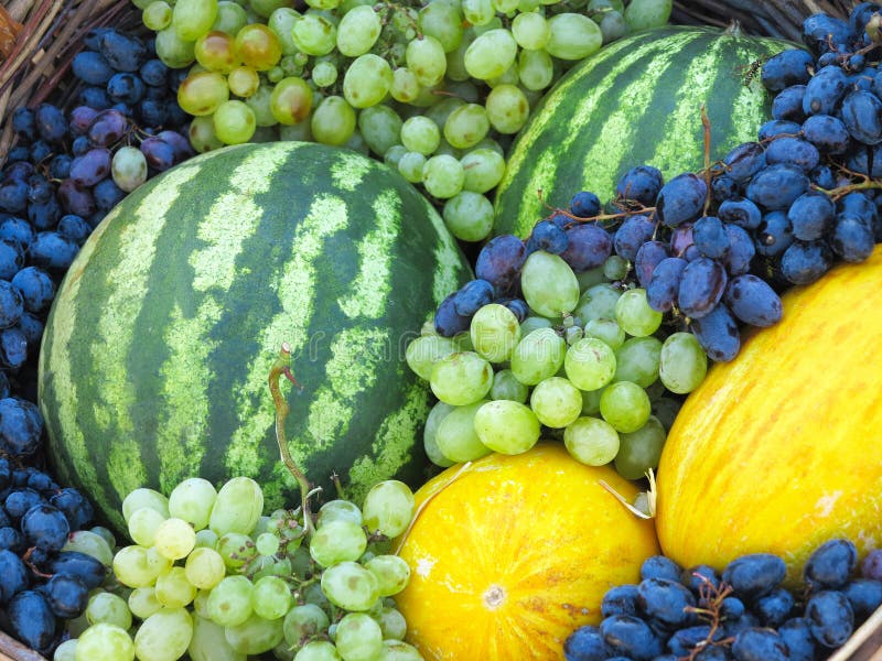 Fruit Basket with Melon, Watermelon Grapes,on Straw Stock Photo - Image ...