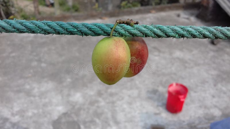 Fjfjf Stock Photos - Free & Royalty-Free Stock Photos from Dreamstime