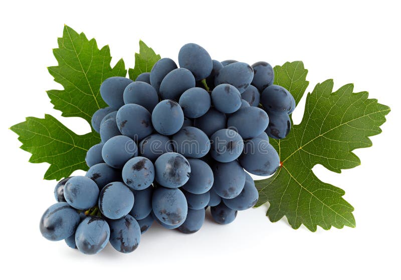 Fruit Bleu De Raisin Avec La Feuille Photo stock - Image du raisin ...