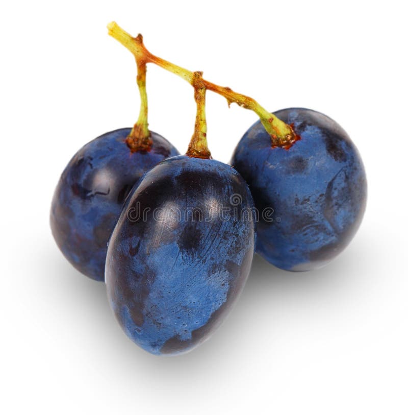 Fruit bleu frais de raisin image stock. Image du sain - 47045185