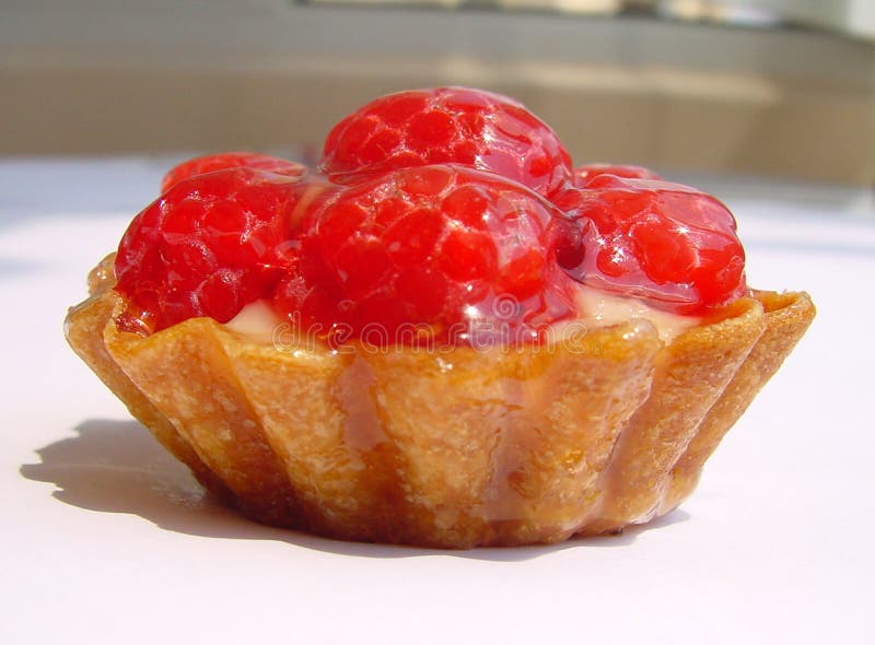 Raspberry tart stock image. Image of custard, tart, fruit - 60019