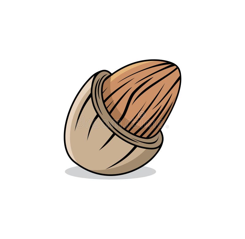 Almond Animation Stock Illustrations – 131 Almond Animation Stock ...