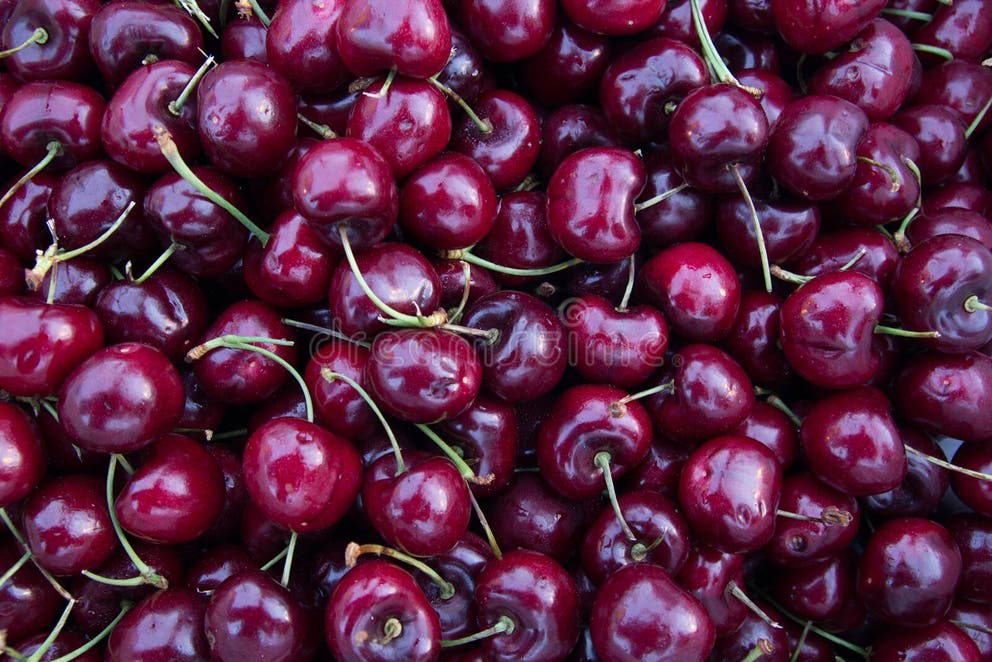 Fruit stock image. Image of fruit, garden, drink, macro - 43003449