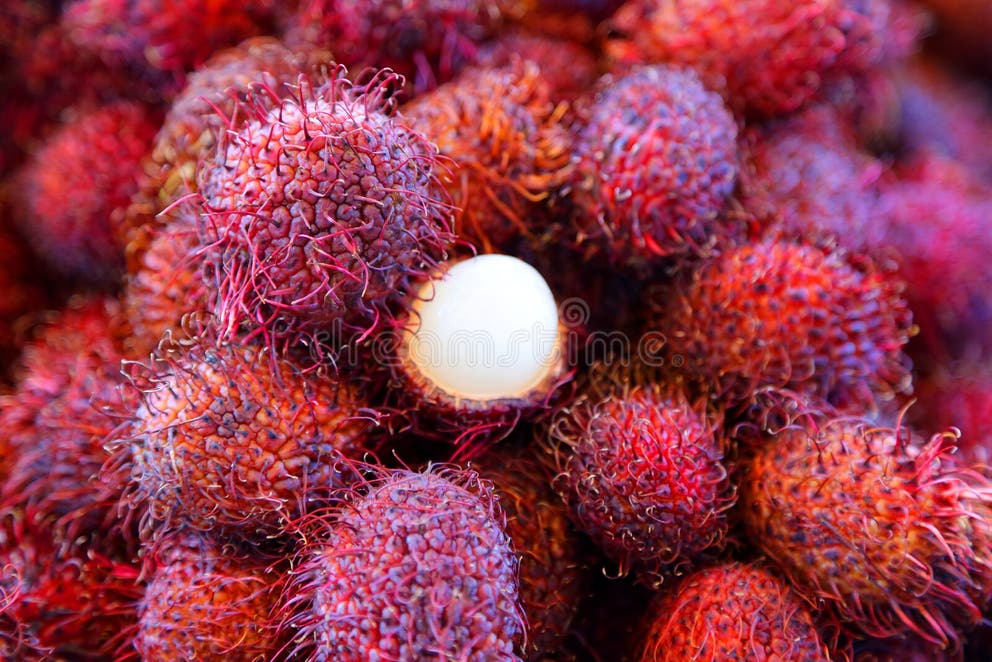 Fruit chinois photo stock. Image du ours, chinois, charnu - 58269696