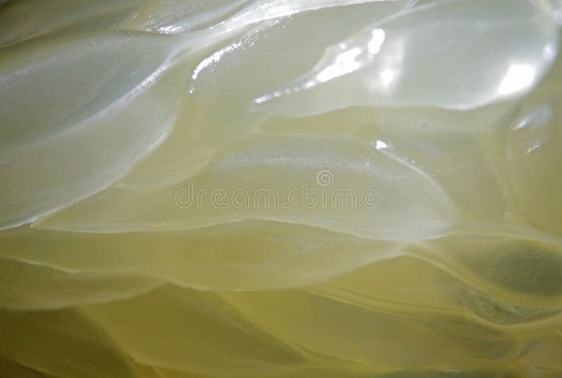 Fruit Citrus Orange Cell Texture. Juice, Fresh, Orange Pulp, Close-up ...