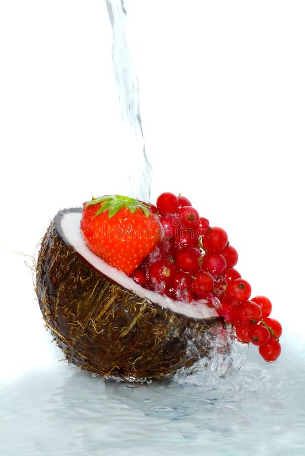 Fruit and coco stock image. Image of hairy, liquid, dieting - 3151887