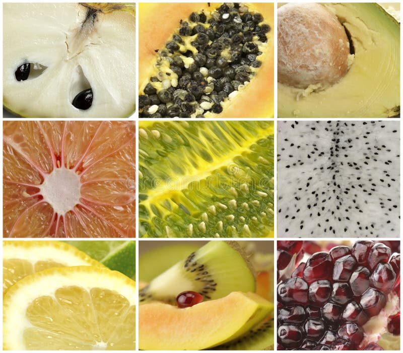 Fruit Collection stock image. Image of kiwi, healthy - 27711989