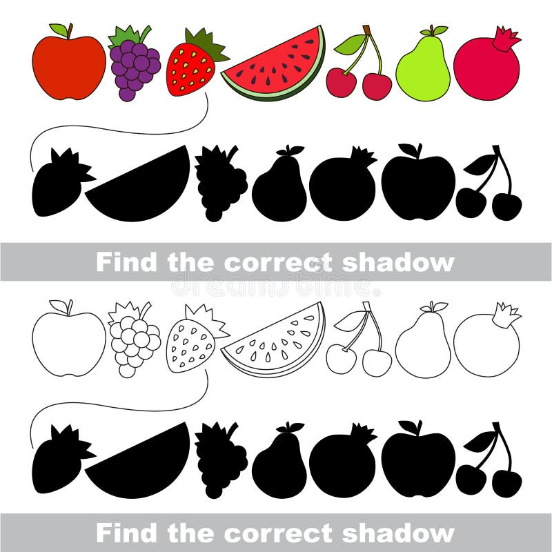 Fruit Collection. Find Correct Shadow. Stock Vector - Illustration of ...